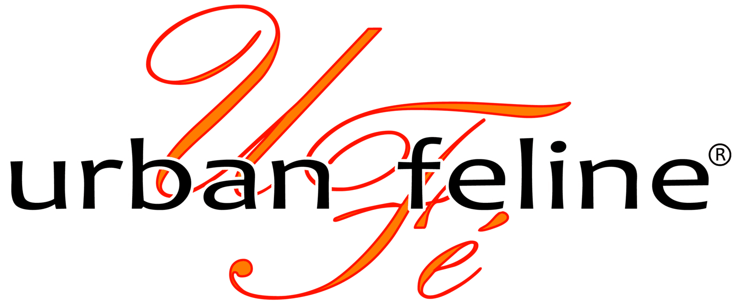 Urban Feline – In Purrsuit of Perfection